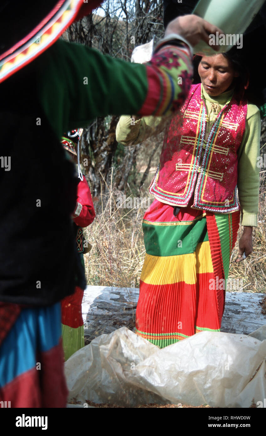 Wedding rice containers hi-res stock photography and images - Alamy
