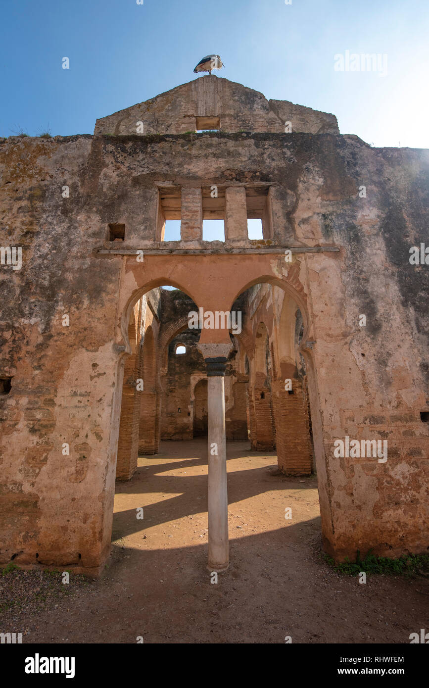 Rabat the red gate hi-res stock photography and images - Alamy