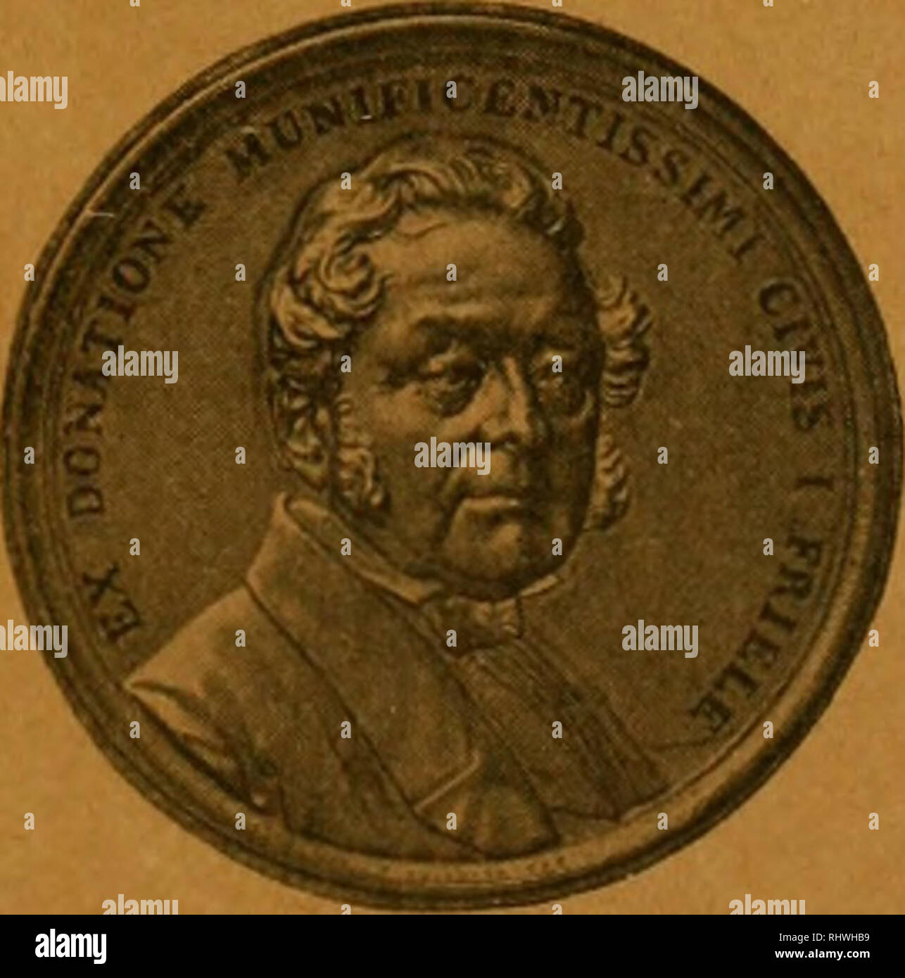 Gustav guldberg hi-res stock photography and images - Alamy