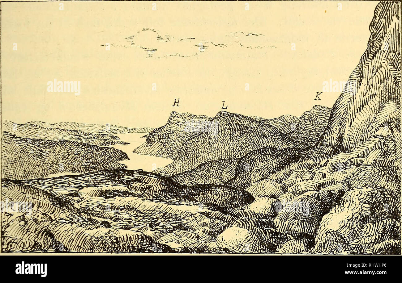 . Bergens Museums aarbok. Science; Natural history. Kvamshestens ...