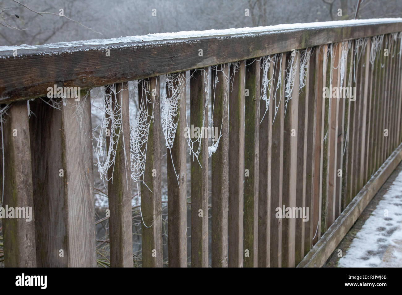 Frozen cobwebs on snowy bridge Stock Photo - Alamy