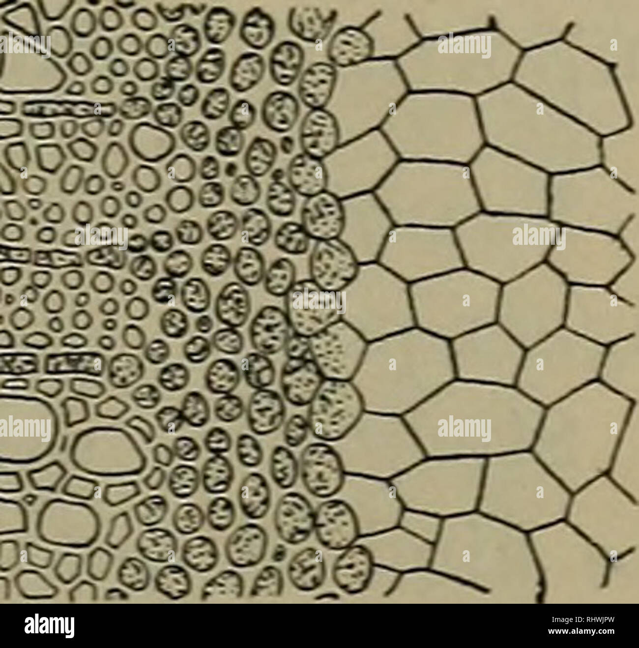 Tubular foundations hi-res stock photography and images - Alamy