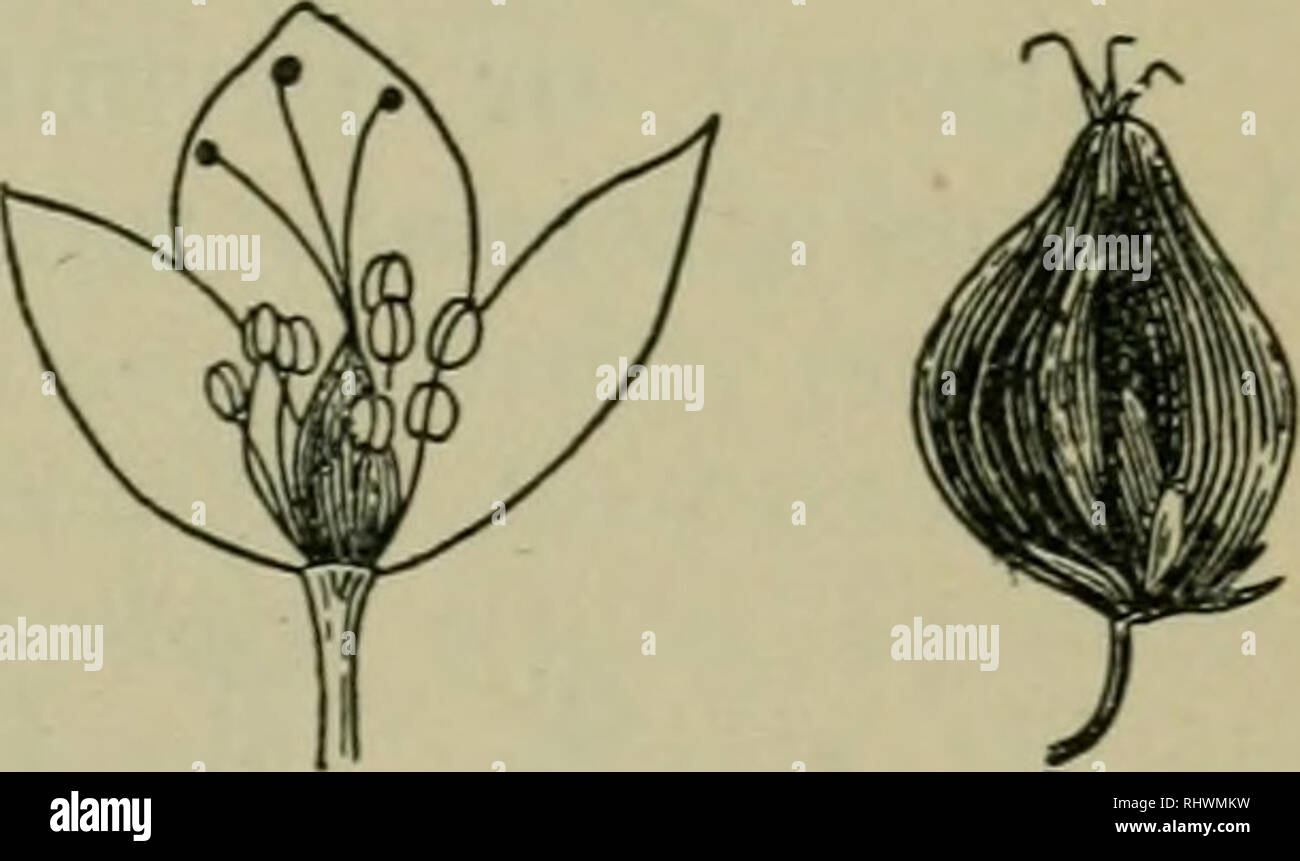 Bergens dock hi-res stock photography and images - Alamy