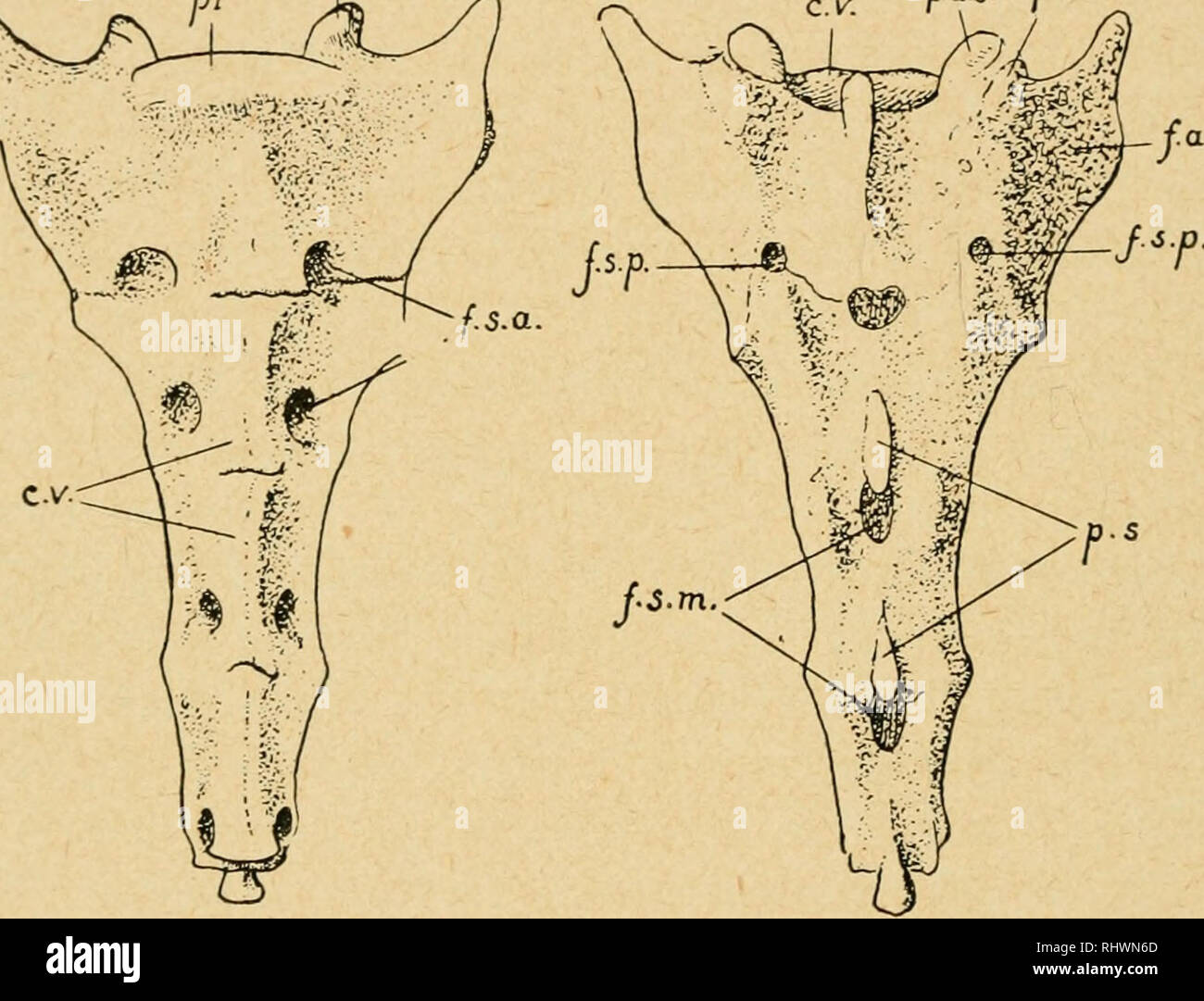 Triangular base plate hi-res stock photography and images - Alamy