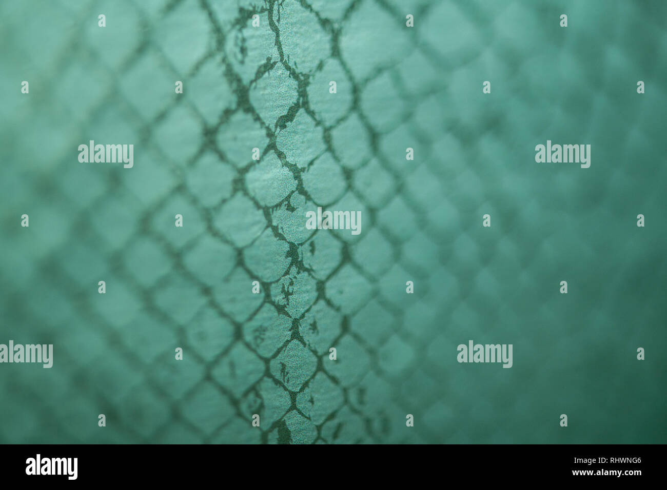 snake skin abstract background texture pattern Stock Photo - Alamy