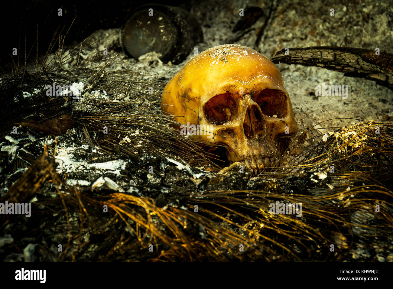 Human skull burned ashes hi-res stock photography and images - Alamy