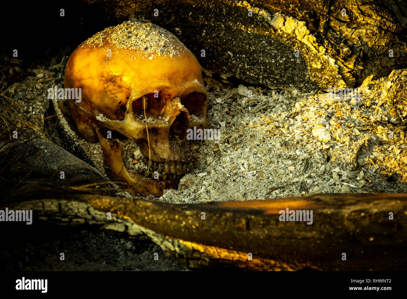 Human skull burned ashes hi-res stock photography and images - Alamy
