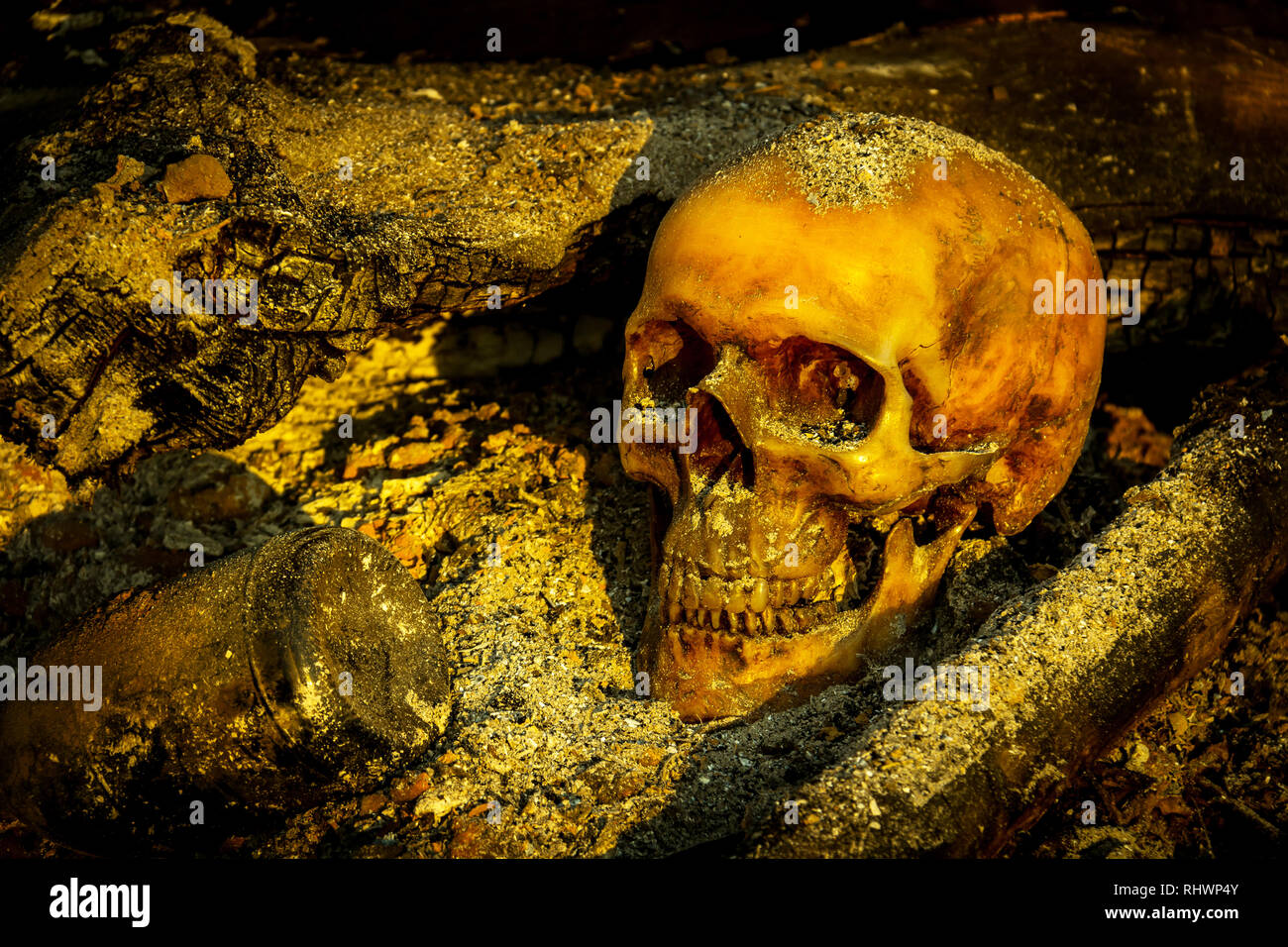 Human skull burned ashes hi-res stock photography and images - Alamy