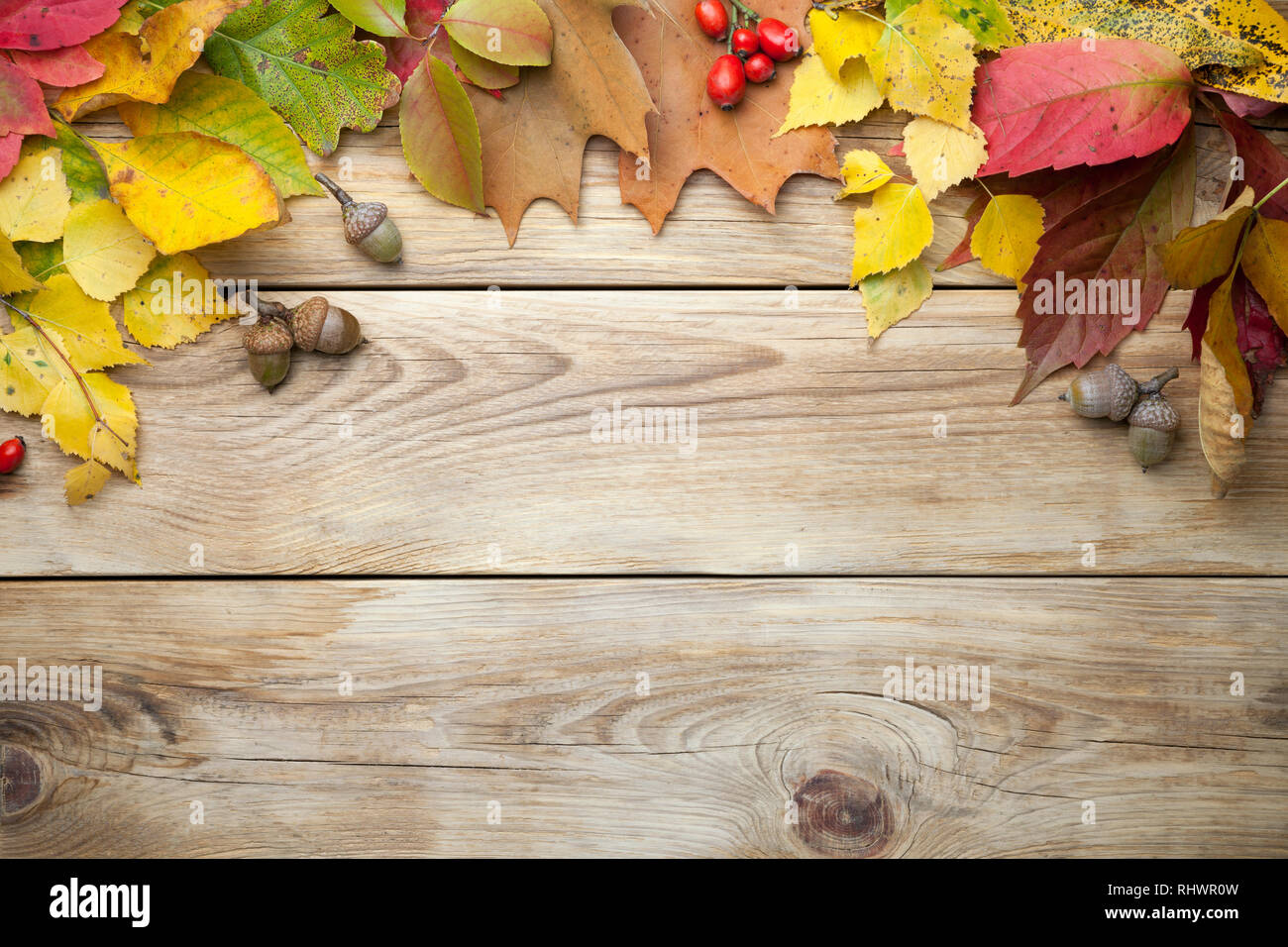 Autumn leaves and acorns on wood background. Copy space. Top view Stock Photo - Alamy
