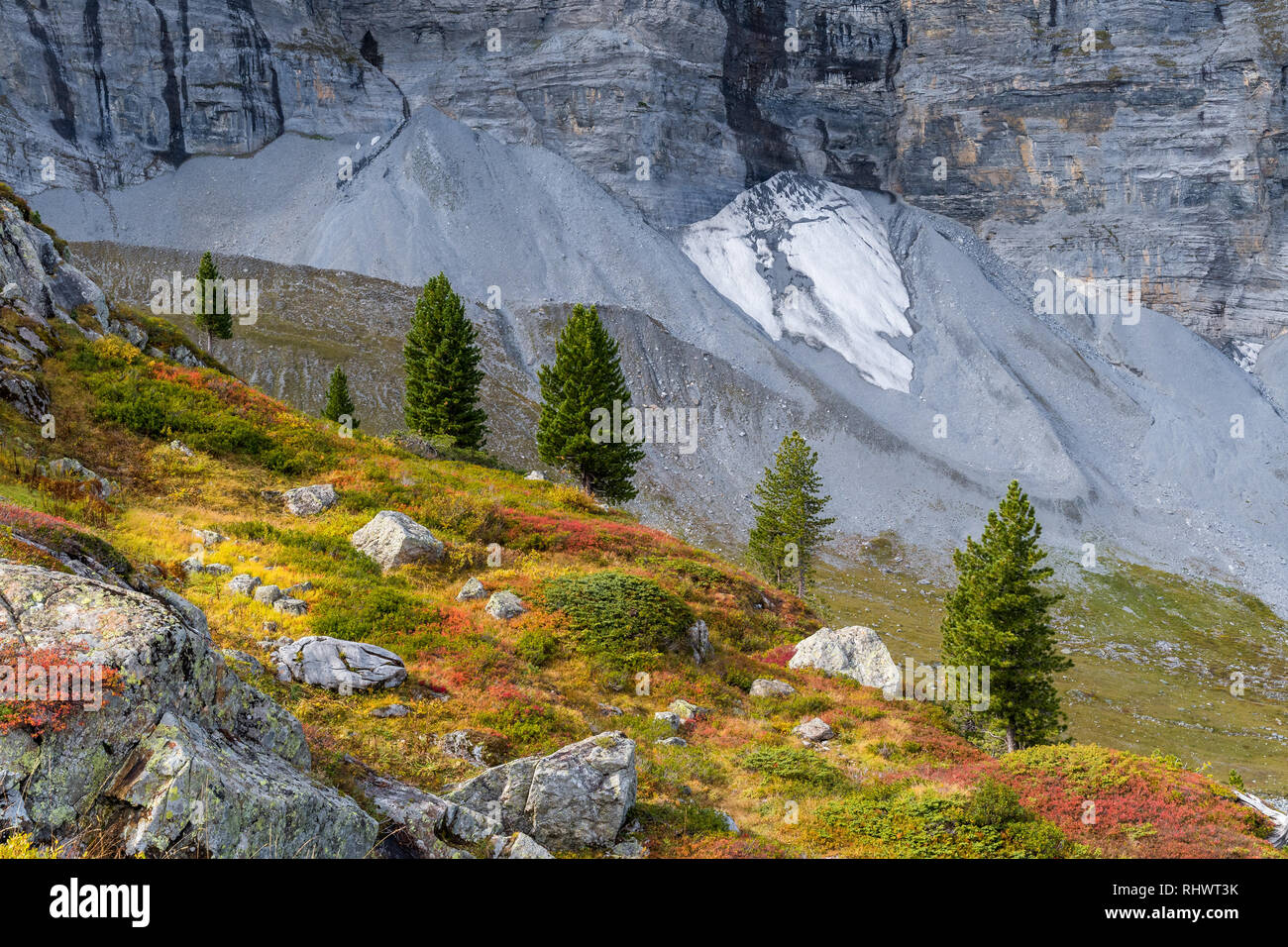 high alpine meadow in autumn in the remote and wild end of ...