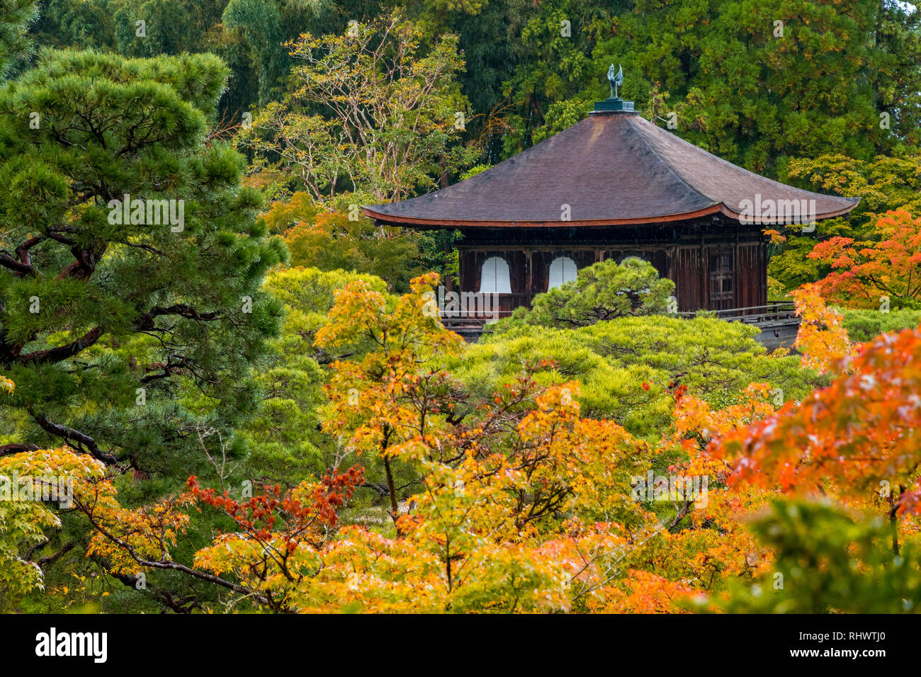 autumn leaves at Ginkakuji Temple Stock Photo - Alamy
