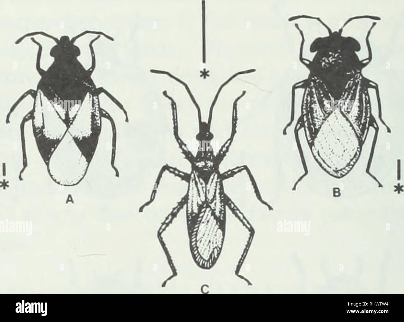 . Beneficial insects and mites. Mites; Pests; Insects. Figure 12. A ...