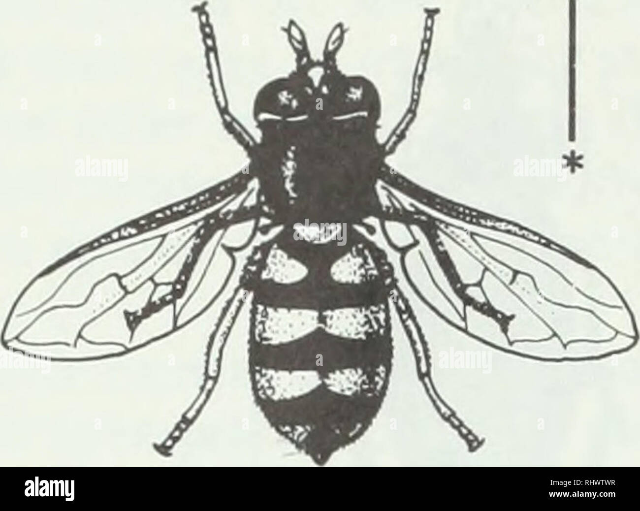 . Beneficial insects and mites. Mites; Pests; Insects. 16. Figure 12. A ...