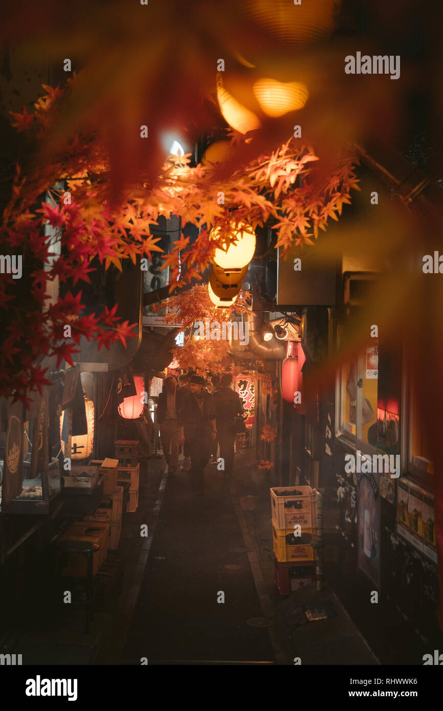 Omoide Yokocho is a narrow alley near Shinjuku Station West Exit with ...