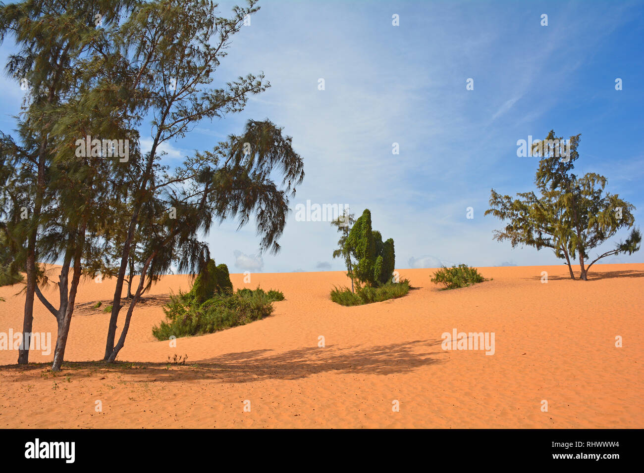 The Red Sand Dunes near Mui Ne in south central Bình Thuan Province ...
