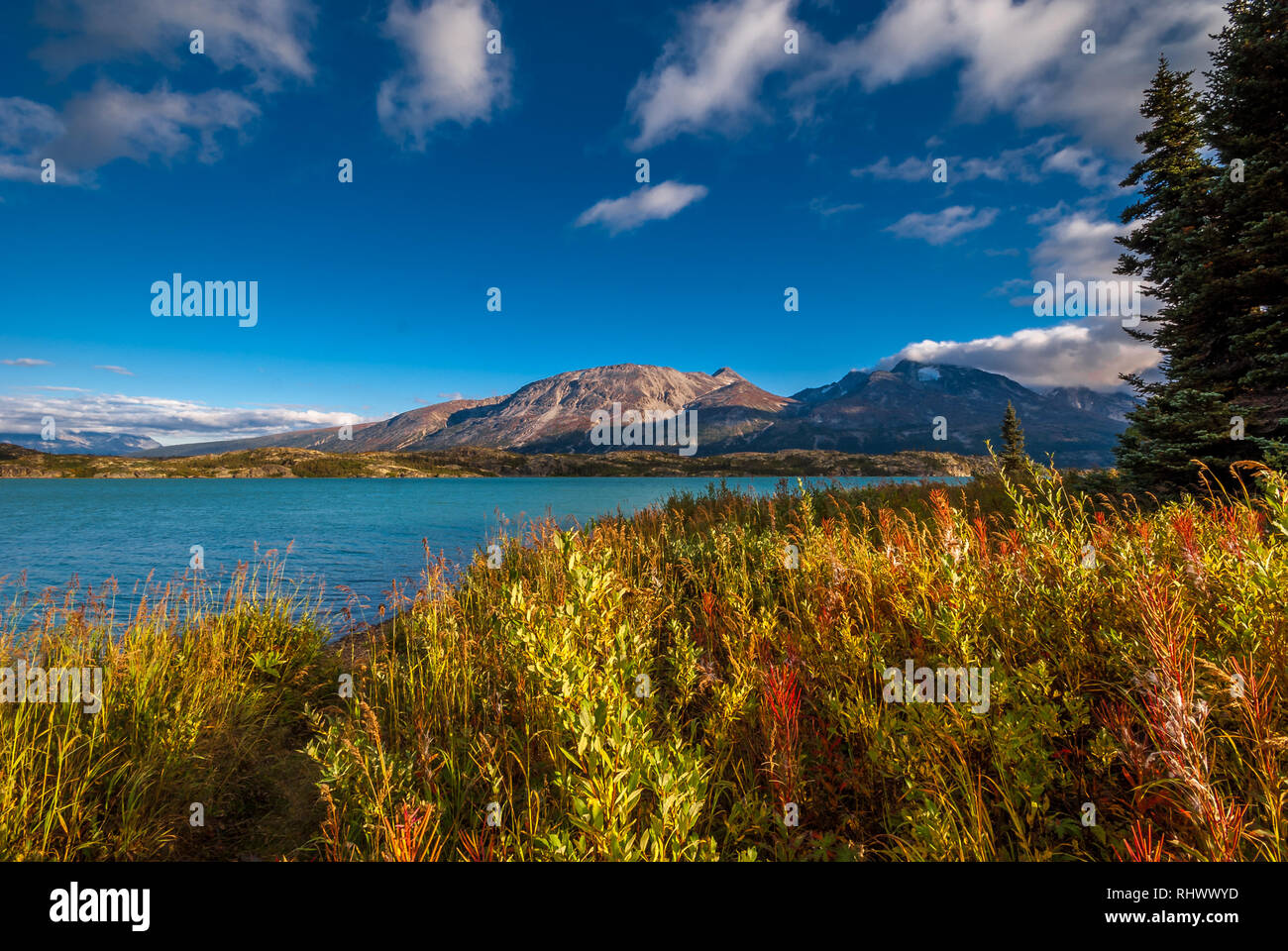 White pass and yukon route hi-res stock photography and images - Alamy