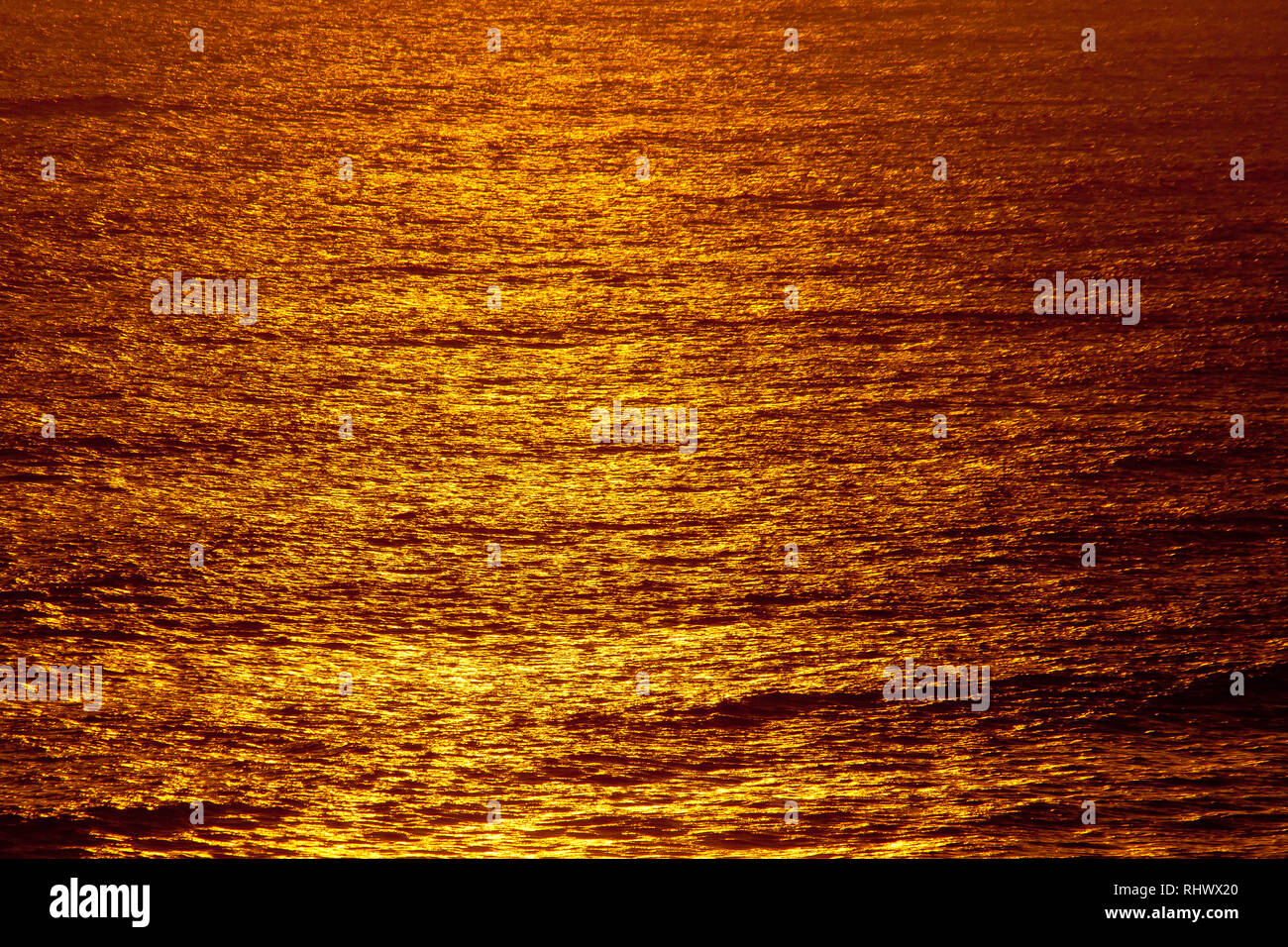 Yellow waves from the sunset at the Pacific ocean Stock Photo - Alamy