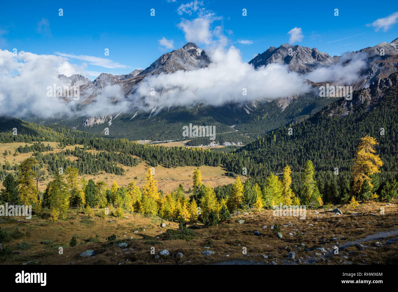 a alpine valley near Zernez, Switzerland Stock Photo - Alamy