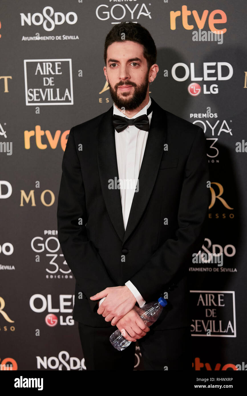 David Broncano attends the Goya Cinema Awards 2019 at FIBES Conference ...
