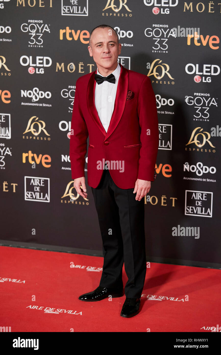Javier Gutierrez attends the Goya Cinema Awards 2019 at FIBES ...