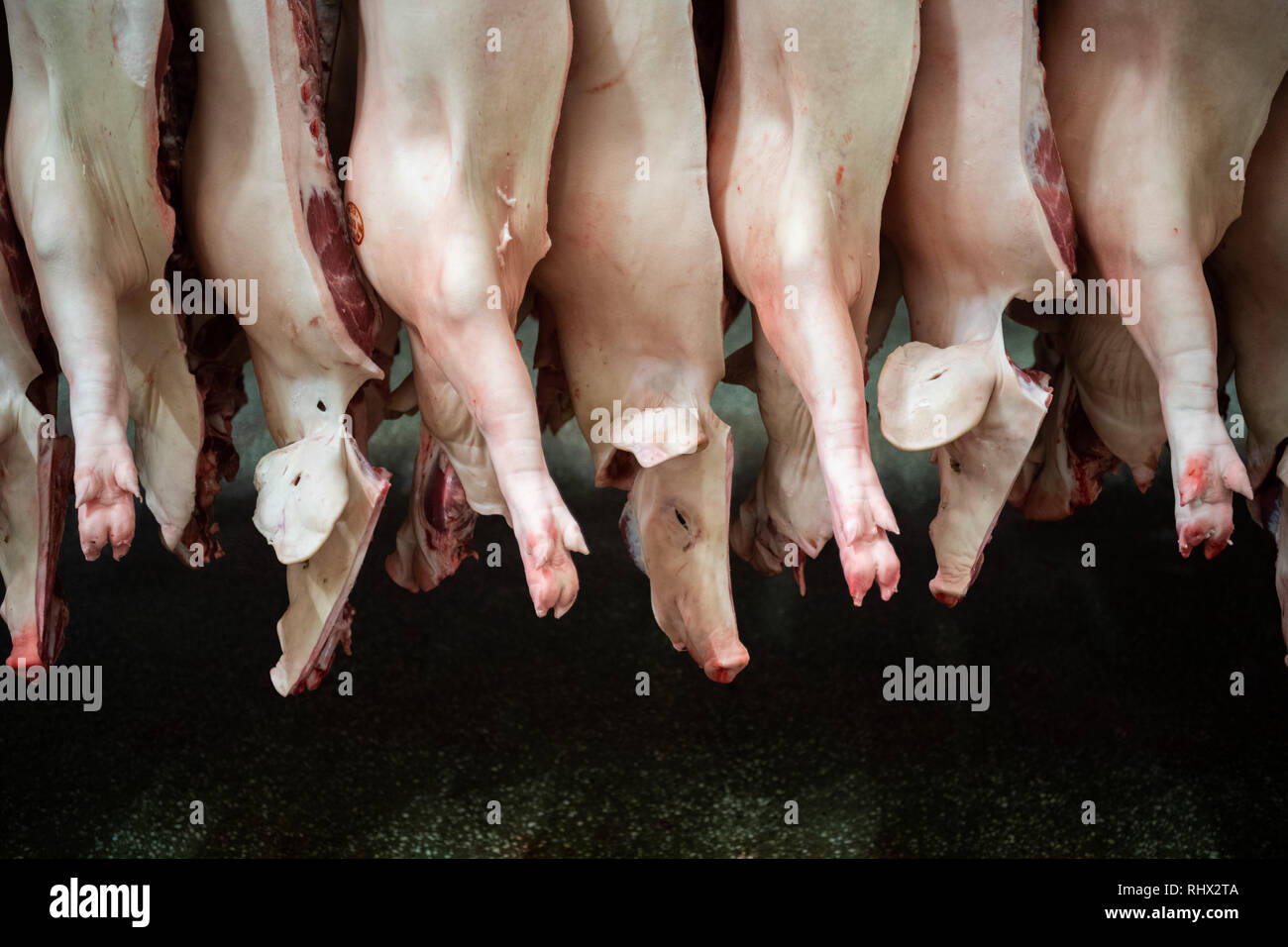 Slaughterhouse hooks hi-res stock photography and images - Alamy