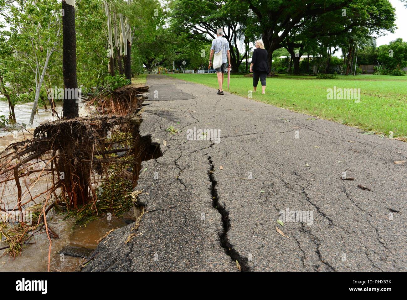 Bulging roots hi-res stock photography and images - Alamy