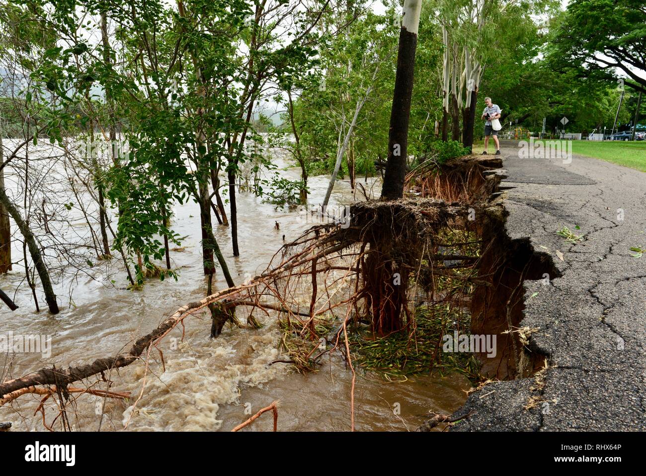 Tree roots exposed after flood waters swept away soil hi-res stock ...