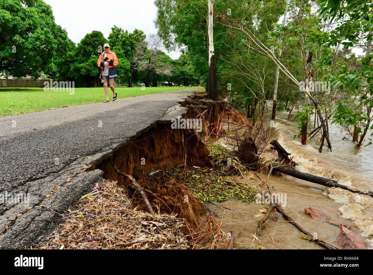 Tree roots exposed after flood waters swept away soil hi-res stock ...