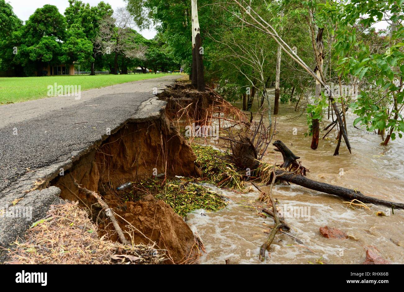 Tree roots exposed after flood waters swept away soil hi-res stock ...