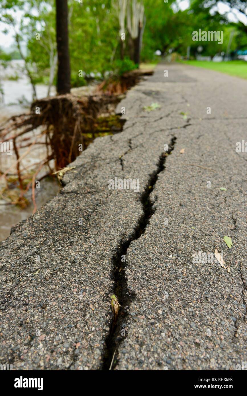 Bulging roots hi-res stock photography and images - Alamy