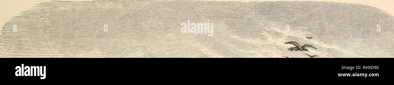 Arten wandern hi-res stock photography and images - Alamy