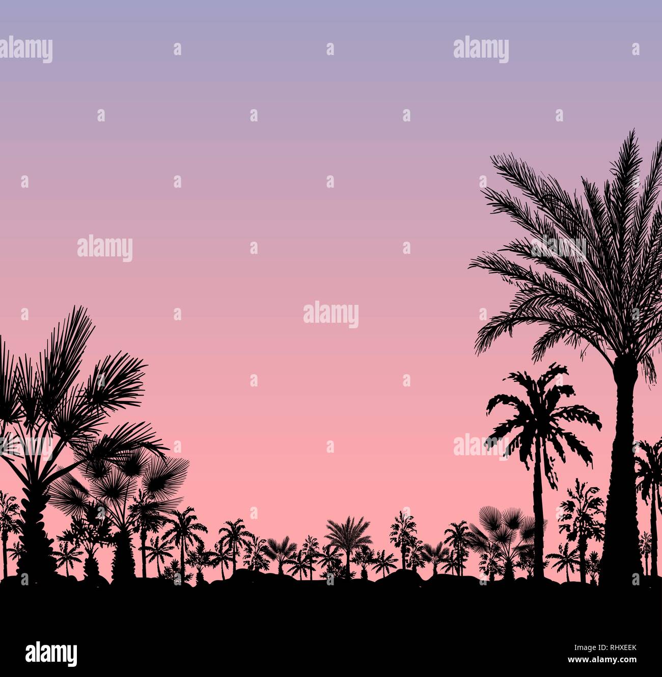 Vector card with realistic palm trees silhouette on tropical grunge ...