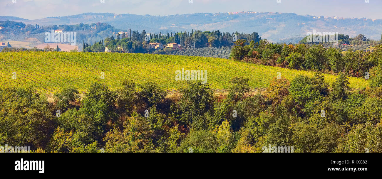 Tuscan panoramic banner landscape with vineyards, cypress trees, houses ...