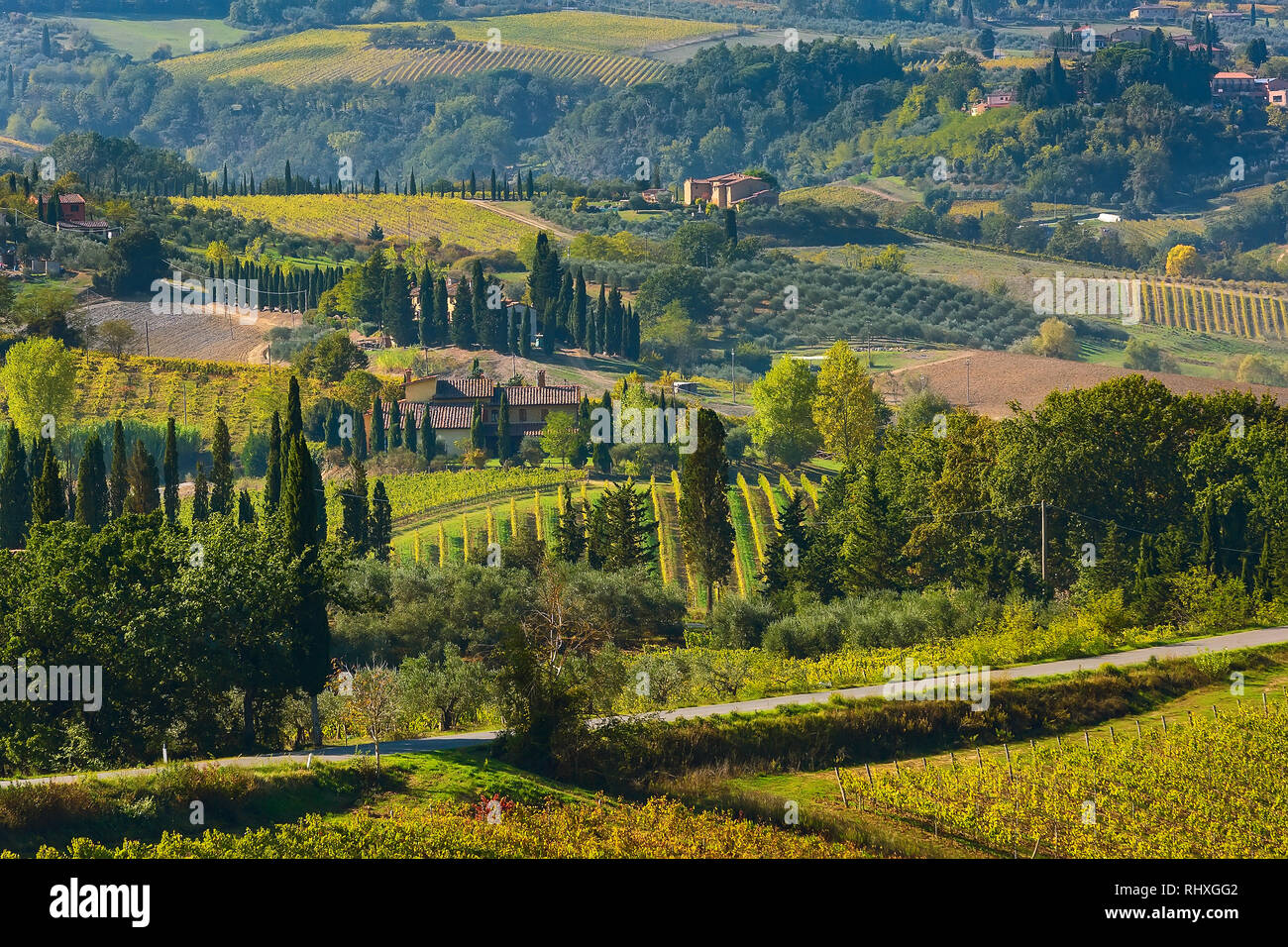 Tuscan landscape with vineyards rows, houses in Tuscany wine region ...