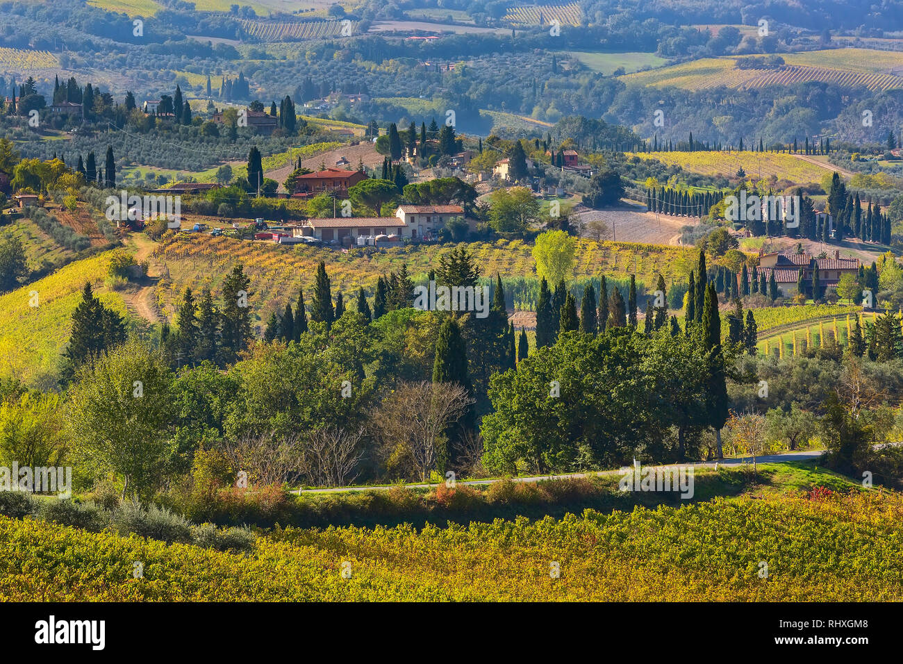 Tuscan landscape with vineyards rows, houses in Tuscany wine region ...