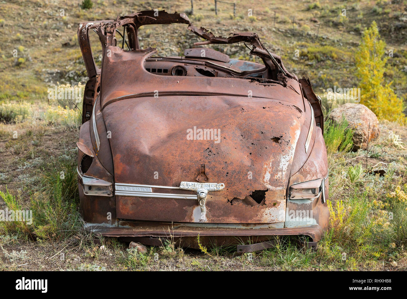 Car Chassis Rust - Car Only