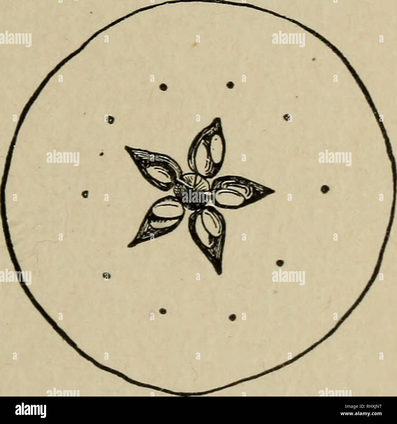 Five torus hi-res stock photography and images - Alamy