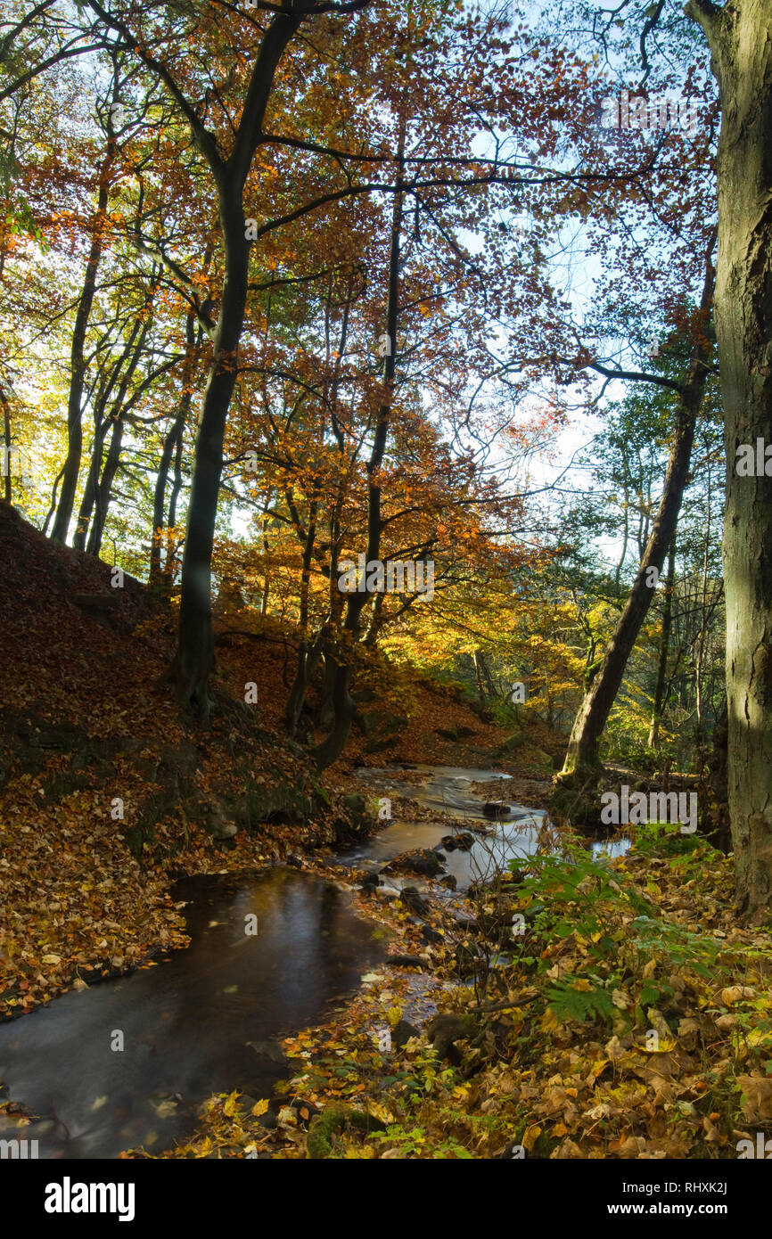 Matlock scene hi-res stock photography and images - Alamy