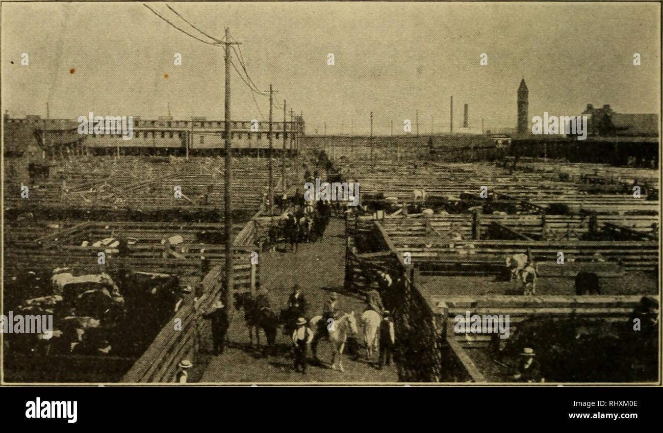 Meat packing chicago hi-res stock photography and images - Alamy