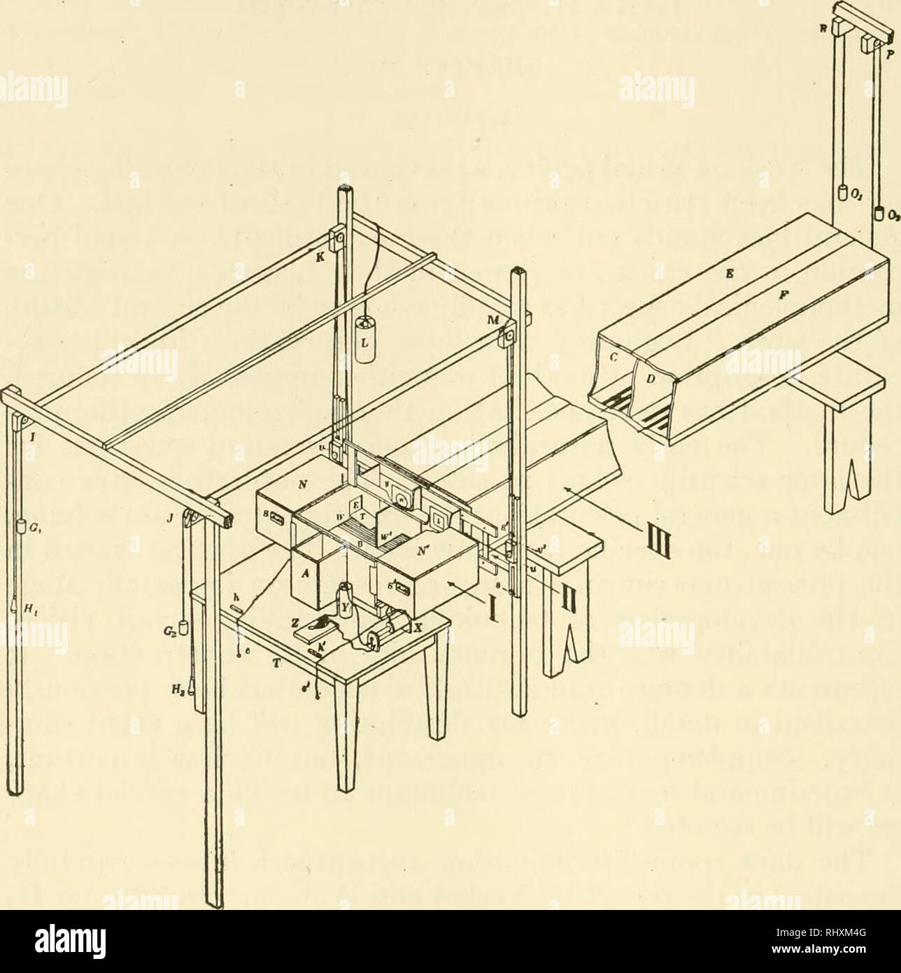 . Behavior monographs. Animal behavior. 24 HAROLD C. BINGHAM except ...