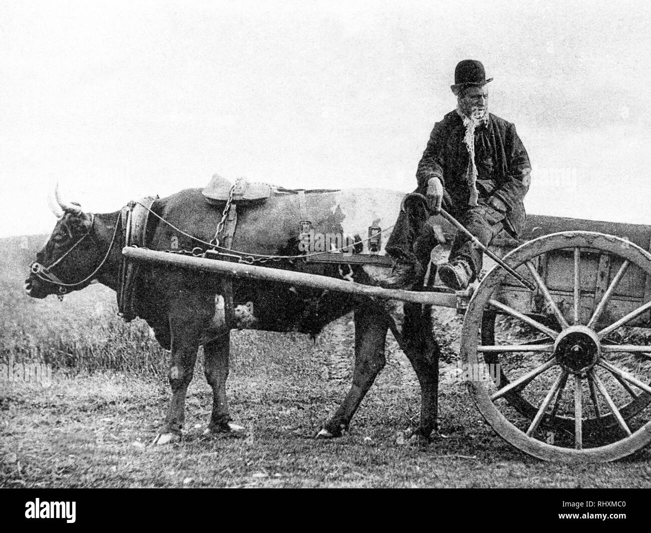 Bullock cart Black and White Stock Photos & Images - Alamy