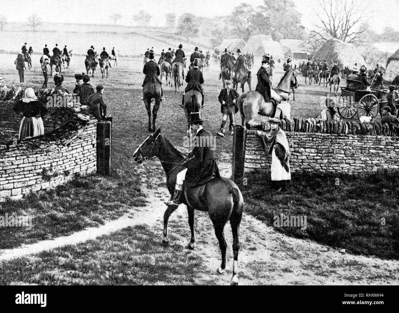 Old fox hi-res stock photography and images - Alamy