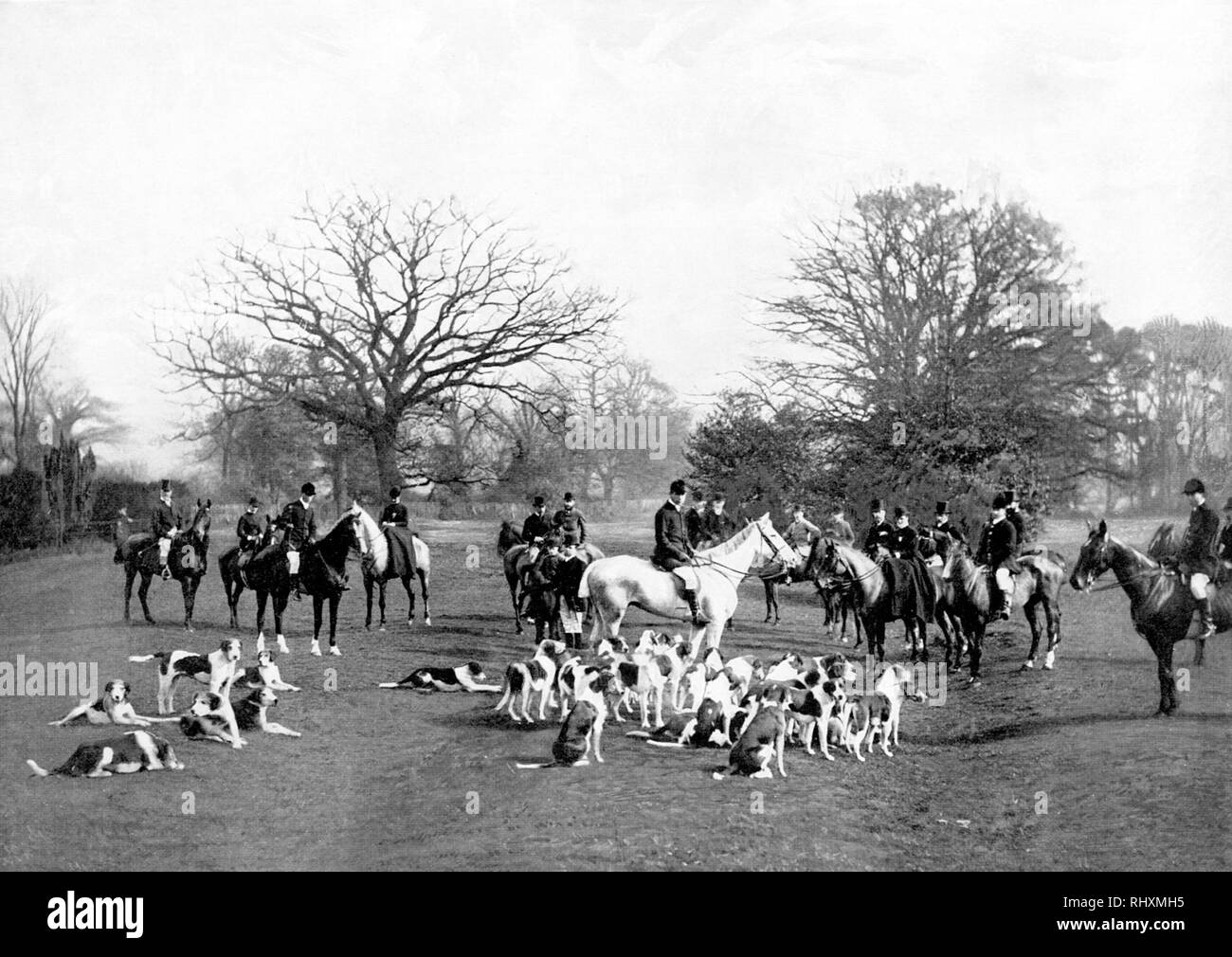 Fox hunting with hounds Stock Photo - Alamy