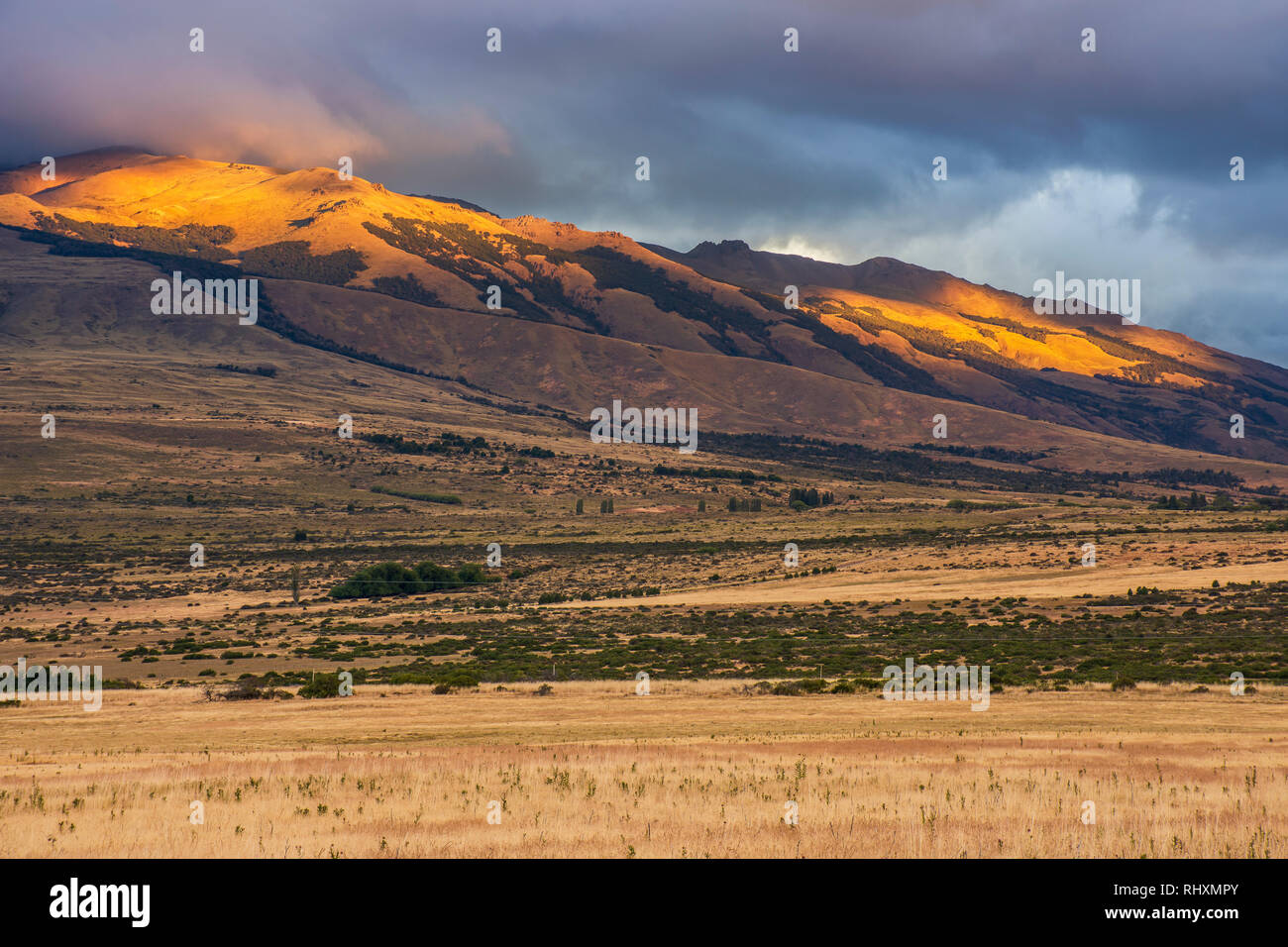 Patagonia desert hi-res stock photography and images - Alamy