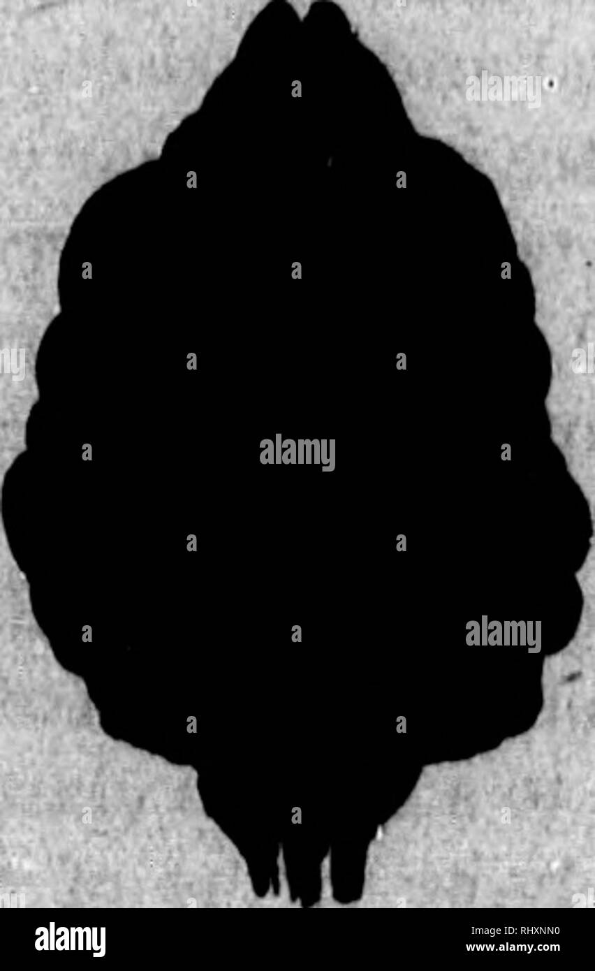 Abore hi-res stock photography and images - Alamy