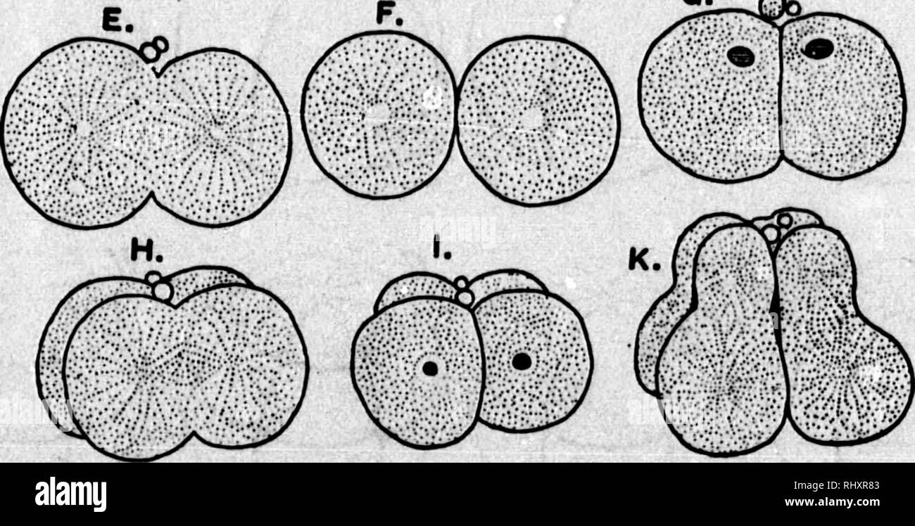 Esg book hi-res stock photography and images - Alamy