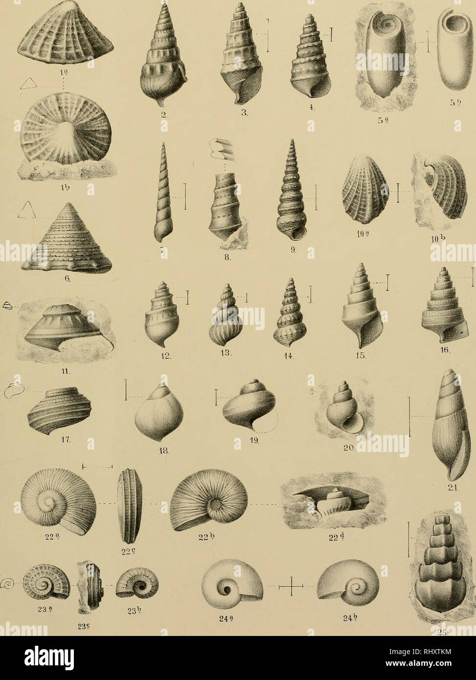 Eumap hi-res stock photography and images - Alamy