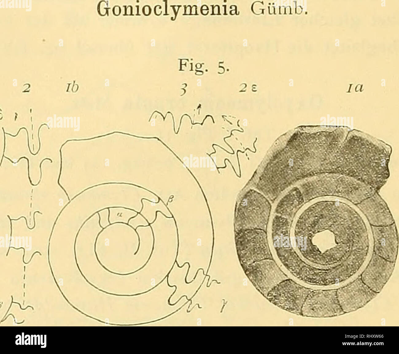 Devon bereich hi-res stock photography and images - Alamy