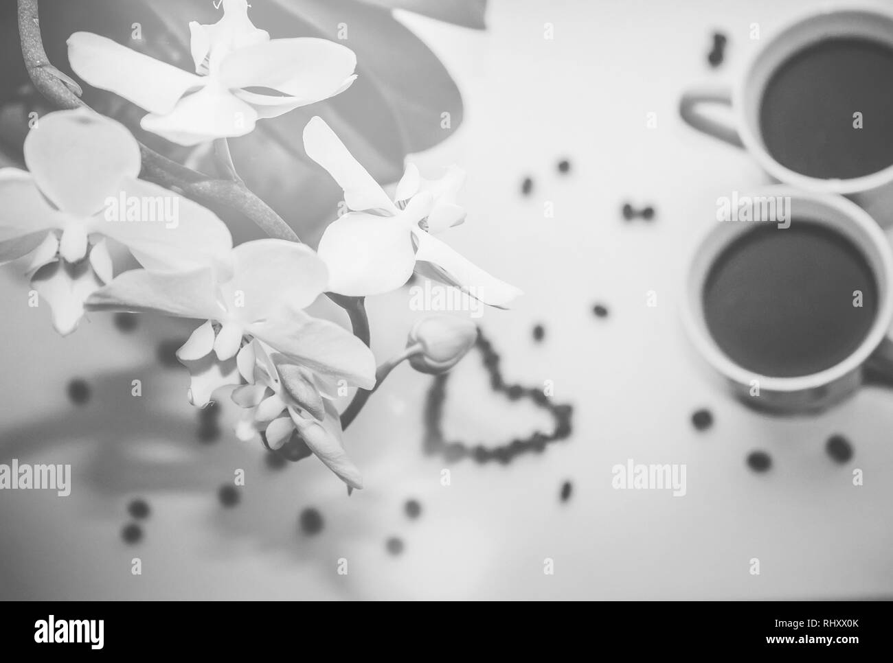 Natural green background selective focus Black and White Stock Photos ...