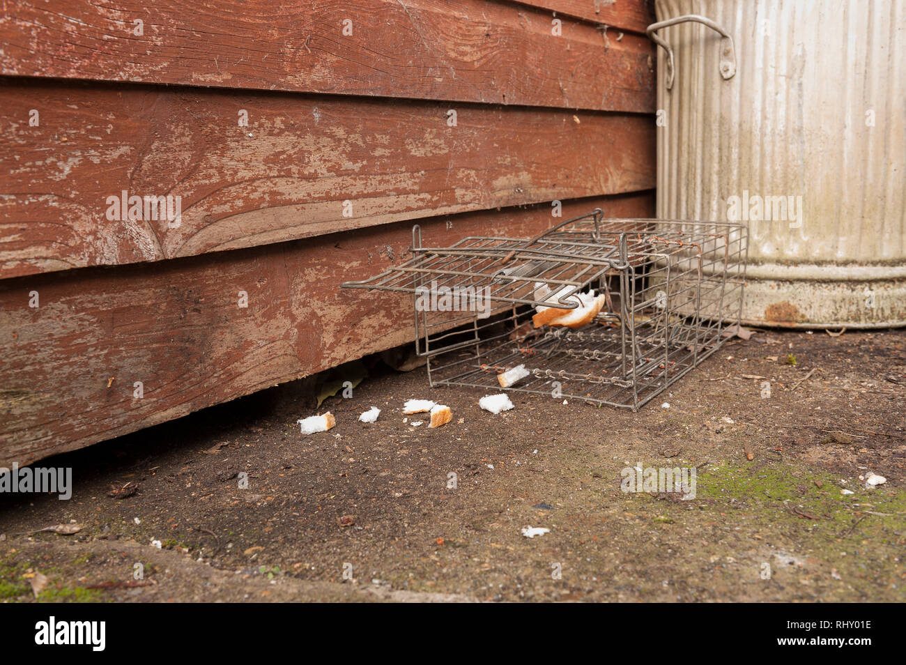 Mammal trap hi-res stock photography and images - Alamy